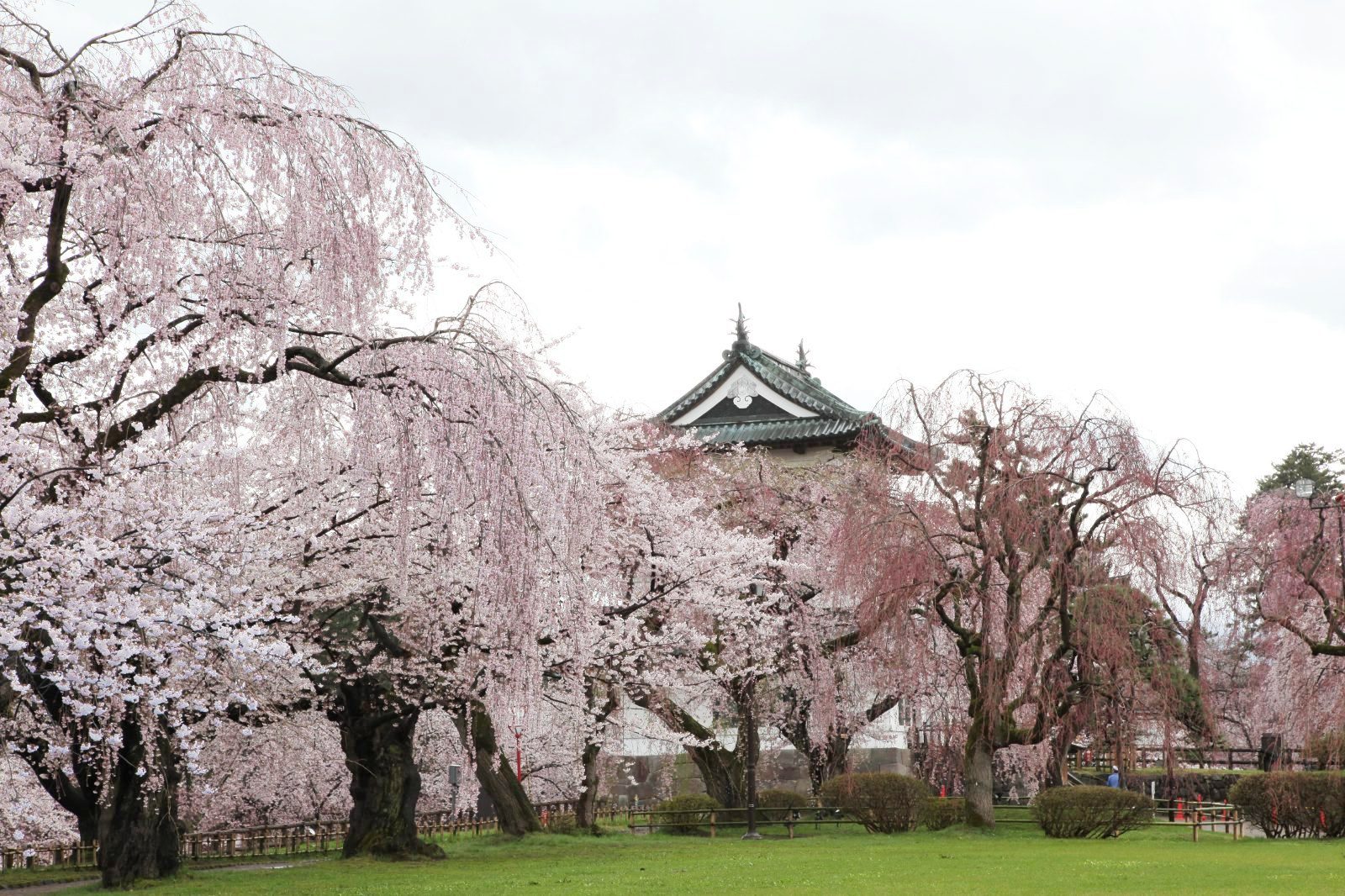 Hirosaki castle | JAPAN WEB MAGAZINE